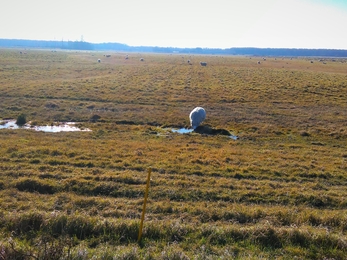 Fixed Point Photography | The Great Fen