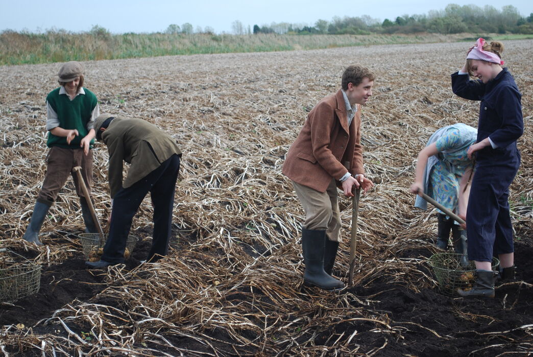 Fen Stories and Memories | The Great Fen