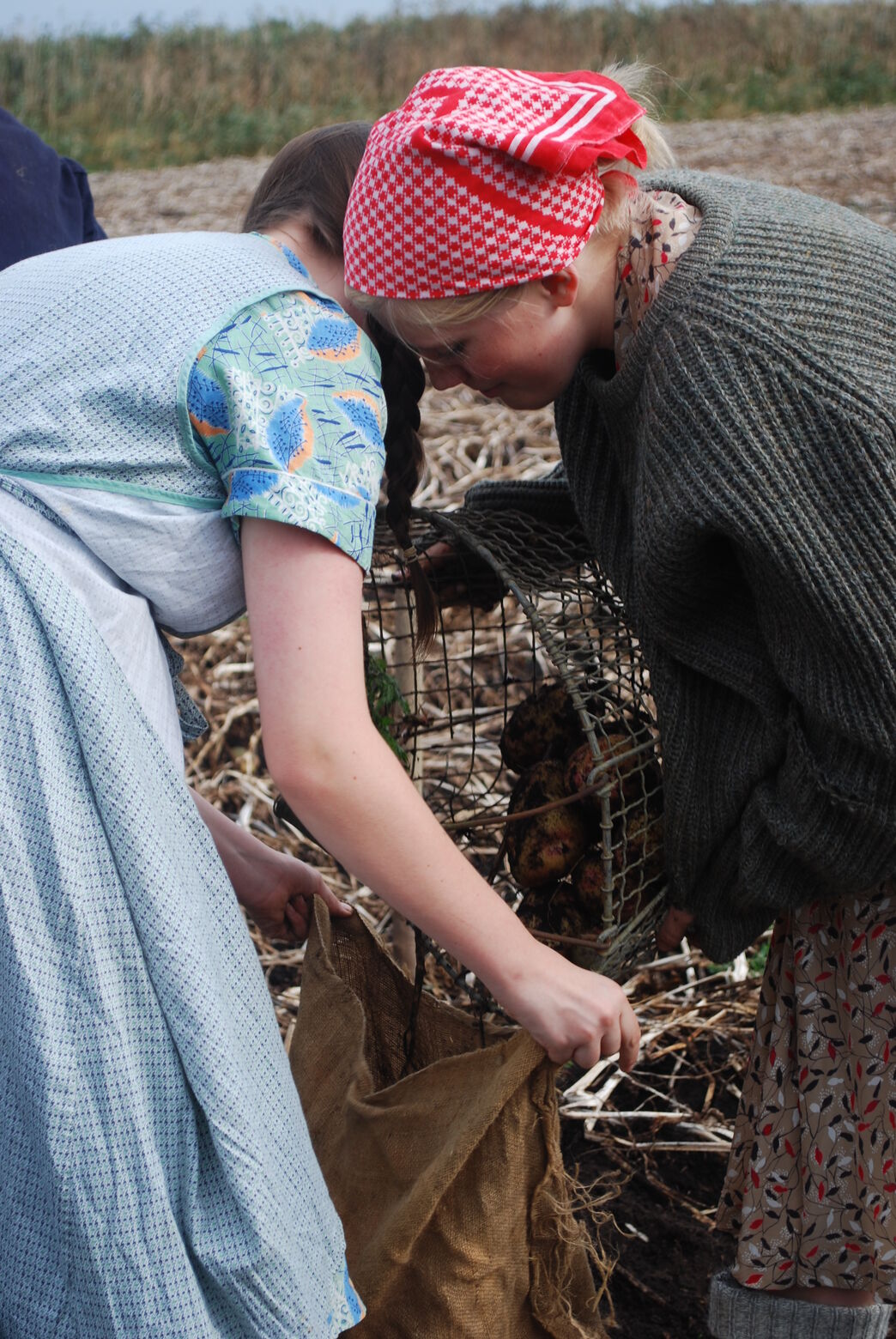 Fen Stories and Memories | The Great Fen