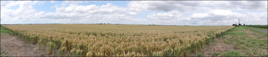 Fixed Point Photography | The Great Fen