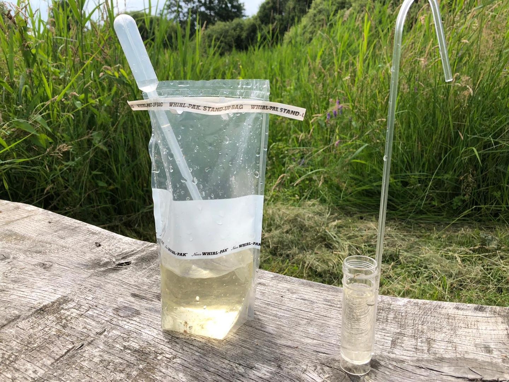 Springing into Life | The Great Fen