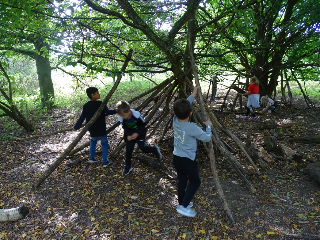 Forest School Comes to the Great Fen | The Great Fen