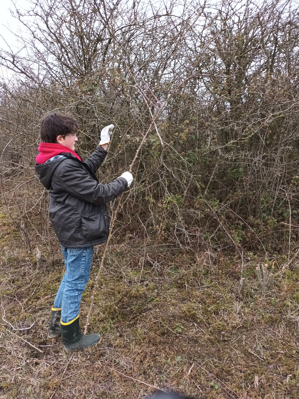 Introducing Youth Rangers of the Fens | The Great Fen