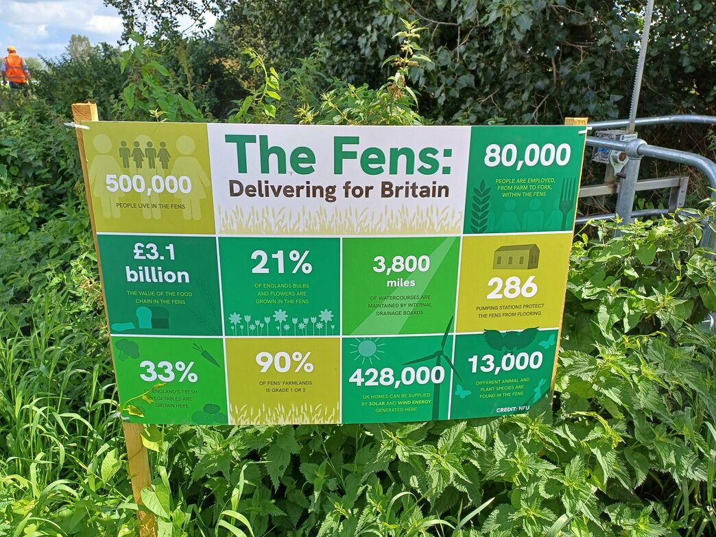 Amazing Veg and Protecting our Soils | The Great Fen