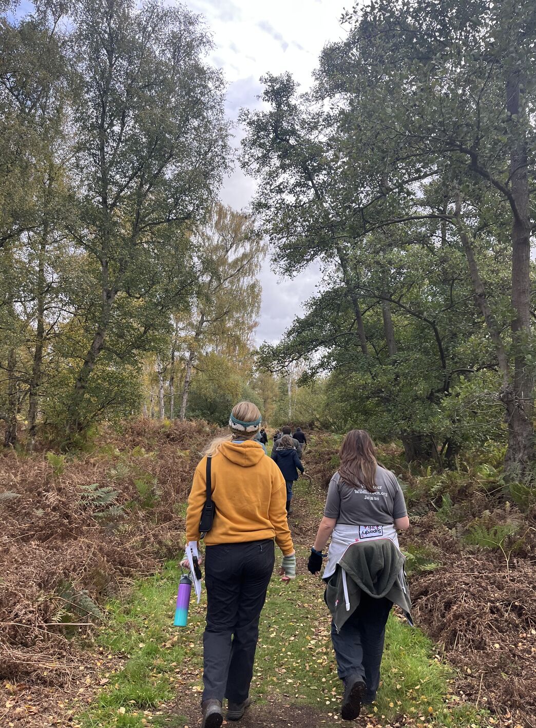 Fentastic Fungi Finds | The Great Fen