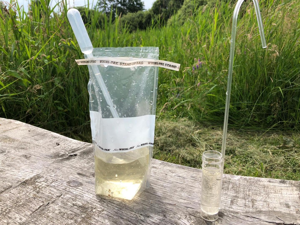 Springing into Life | The Great Fen