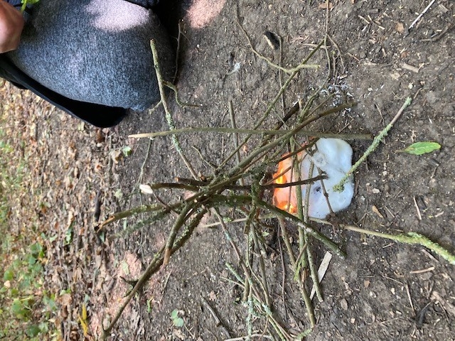 Forest School Comes to the Great Fen | The Great Fen