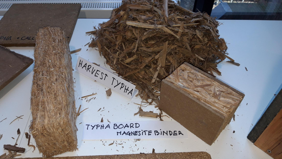 Wet farming in a drought | The Great Fen