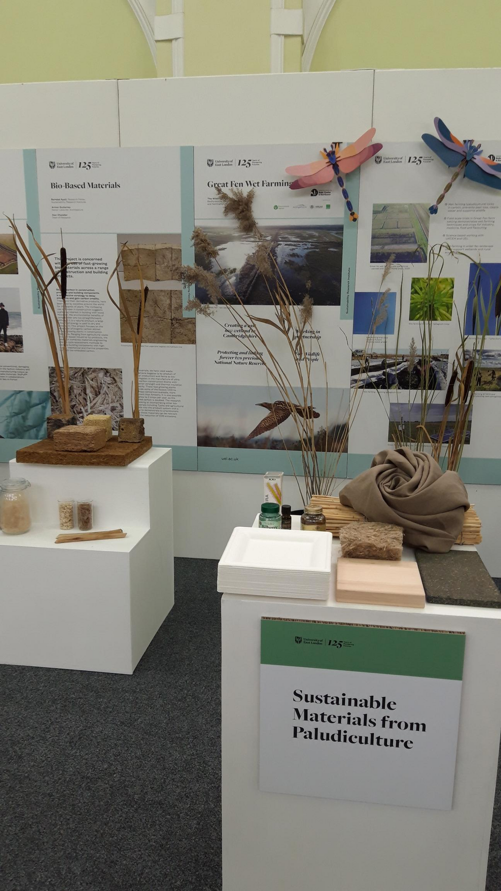 Paludiculture gets a Royal handshake | The Great Fen