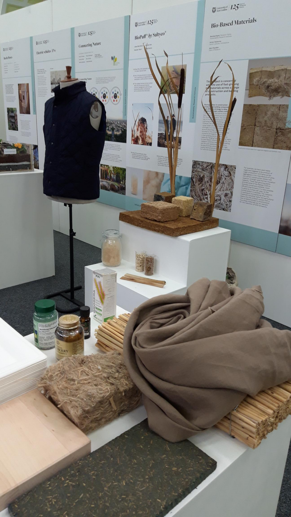 Paludiculture gets a Royal handshake | The Great Fen