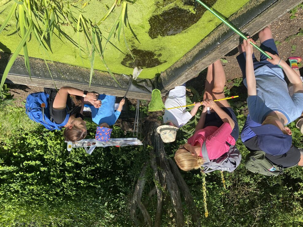 Every day's a school day | The Great Fen