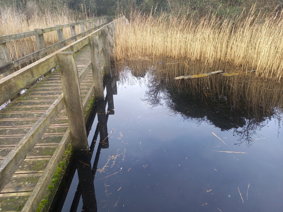 Leap into spring at the Great Fen | The Great Fen