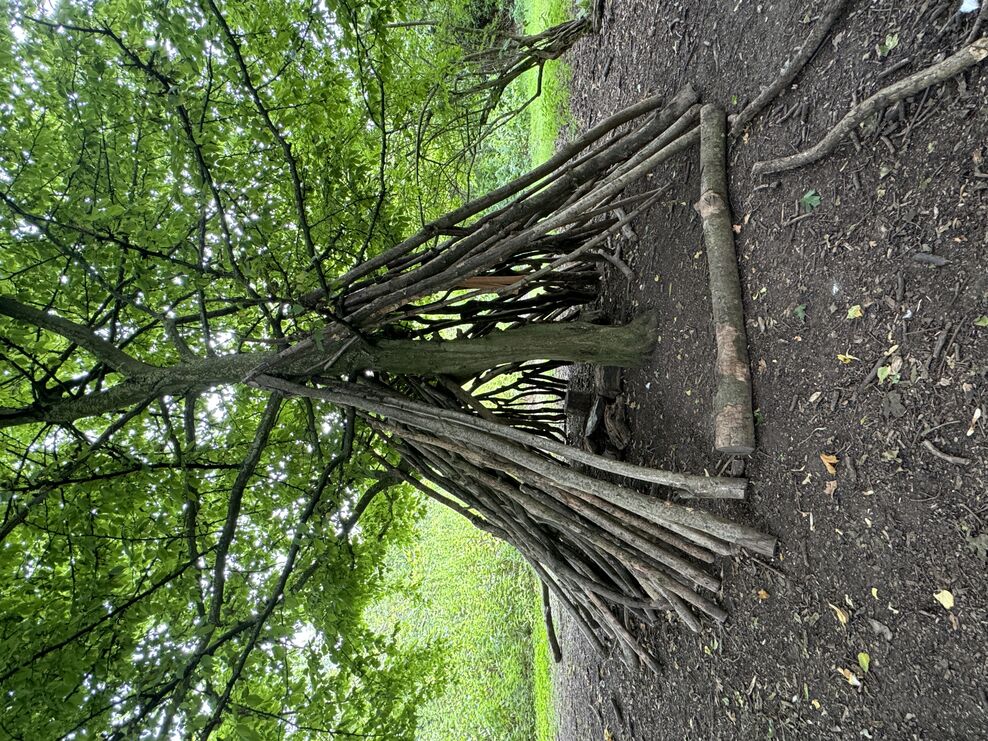 Our Favourite Free Family Outdoor Activities | The Great Fen