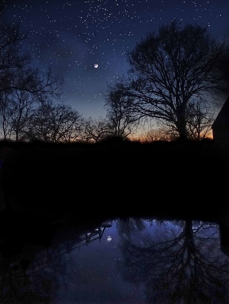 Dark Skies at The Great Fen | The Great Fen