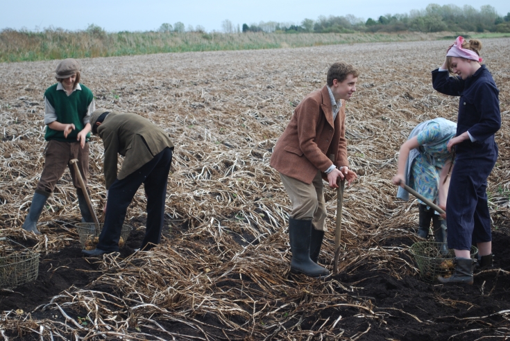 Fen Stories and Memories | The Great Fen
