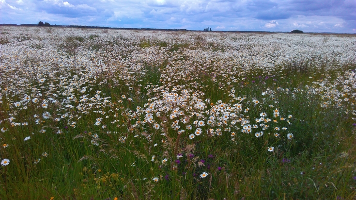 Fixed Point Photography | The Great Fen
