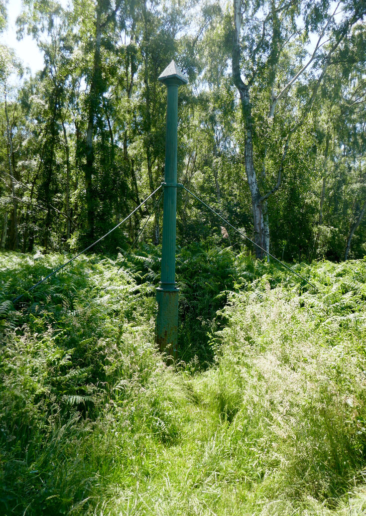 My Great Day at the Great Fen | The Great Fen