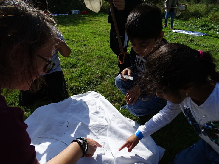 Educational Visits | The Great Fen