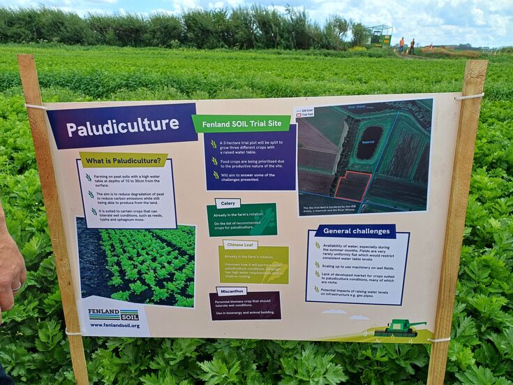 Amazing Veg and Protecting our Soils | The Great Fen