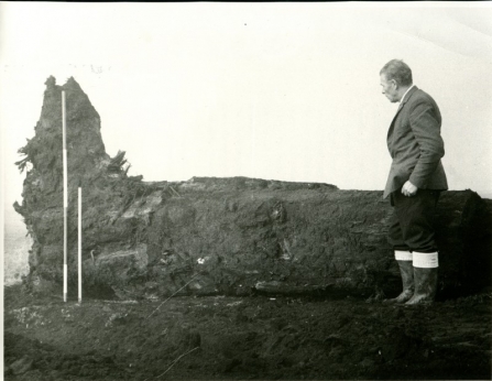 Bog Oak | The Great Fen