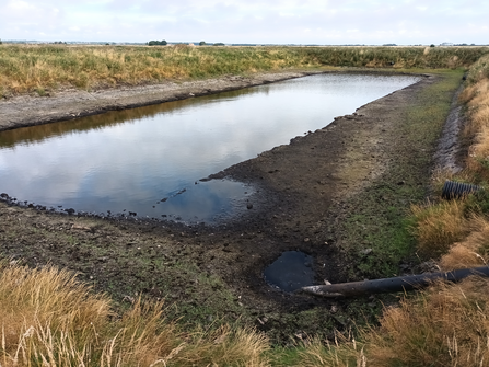Wet farming in a drought | The Great Fen