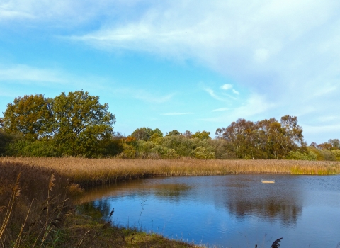 Creating wetlands | The Great Fen
